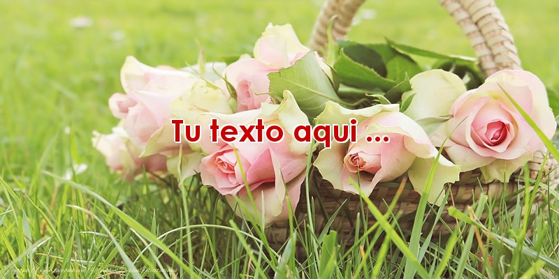 Crea Felicitaciones Personalizadas Con Texto Cumpleaños
